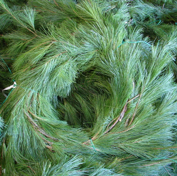 Bartram's Garden Online Store